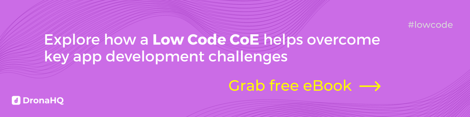 Why create a Low-Code Center of Excellence (COE)? - DronaHQ