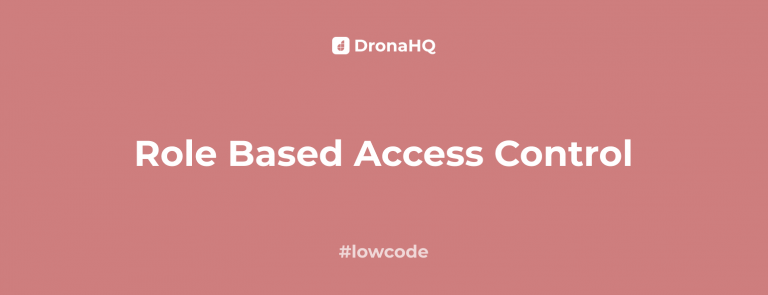 Role Based Access Control - DronaHQ